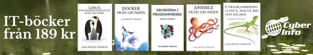 Binära och hexadecimala talsystemen, vad är det? « CyberInfo Sverige