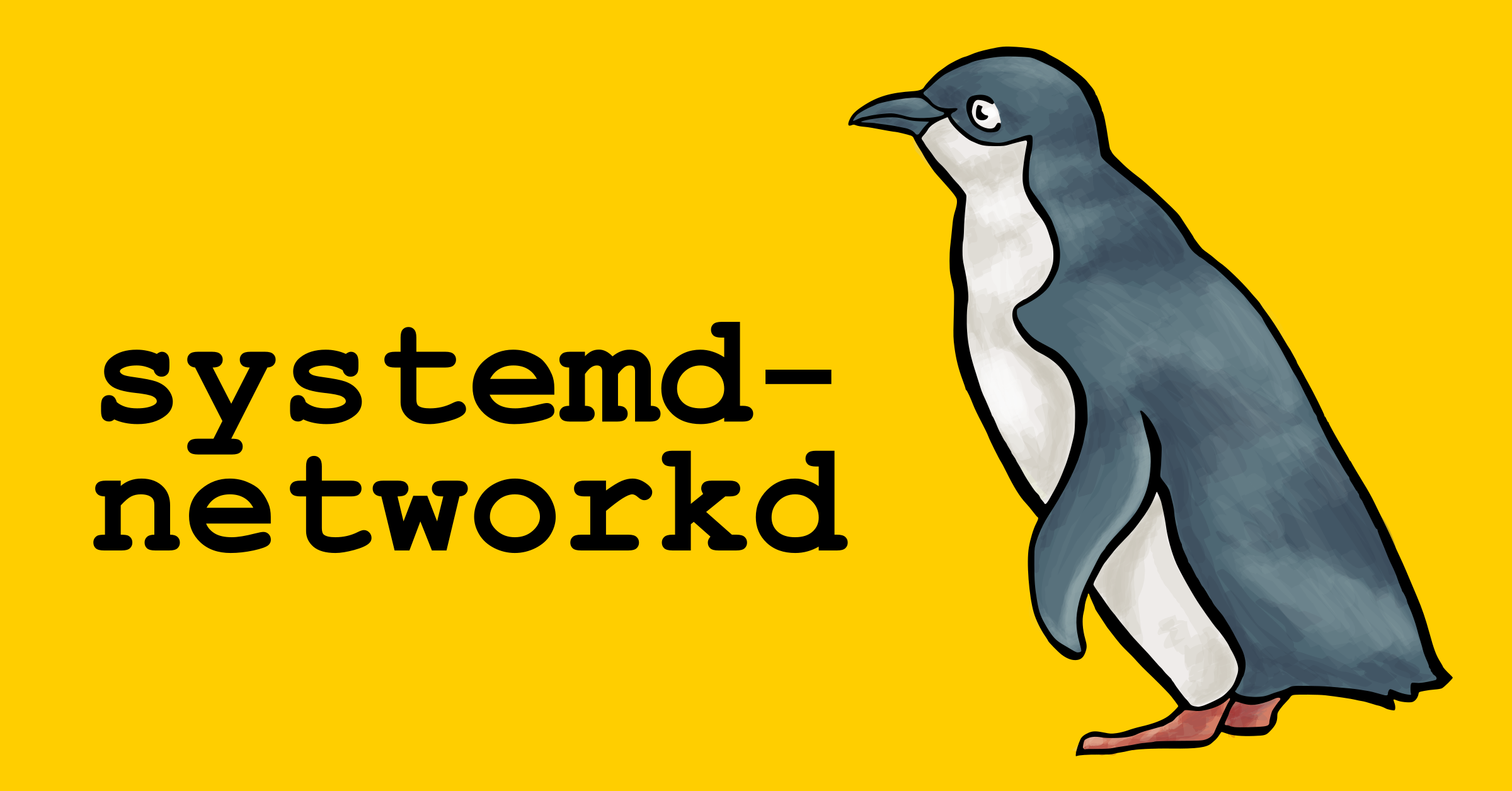 Konfigurera nätverket med systemd-networkd « CyberInfo Sverige